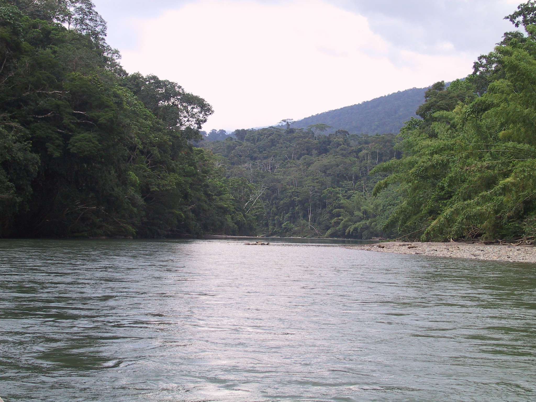 Concesiones mineras en zonas sensibles de Ecuador no se detienen | La ...