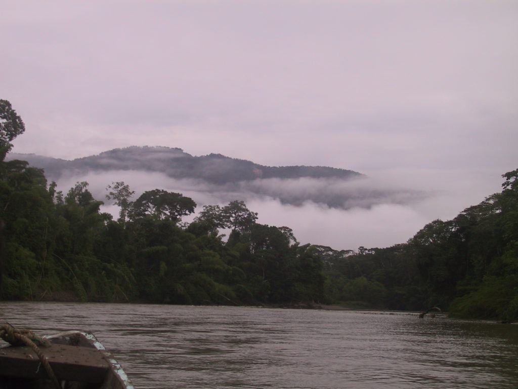 Concesiones mineras en zonas sensibles de Ecuador no se detienen | La ...